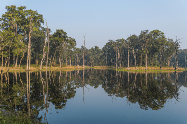 Exploring Chitwan National Park Before Visit Guide - B4VISIT